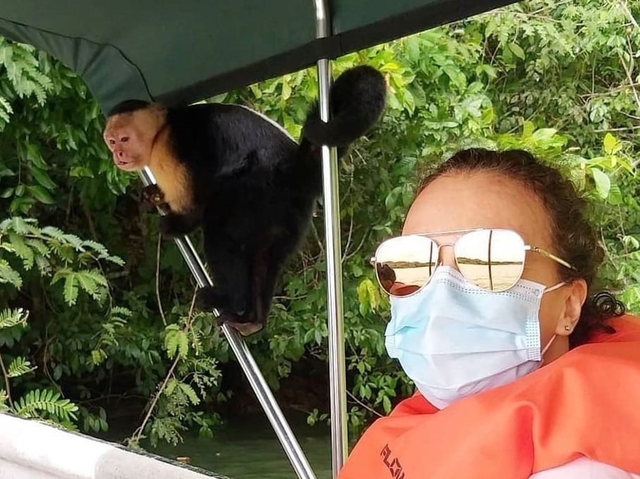 Monkey Island & Gatun Lake - Comfort in the best excursions (without ...